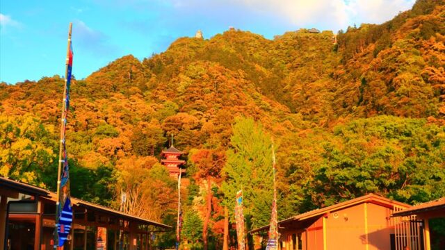 岐阜城楽市、GW終わった後の様子はどんな感じなんでしょうかね！ | GIFU-WALKER